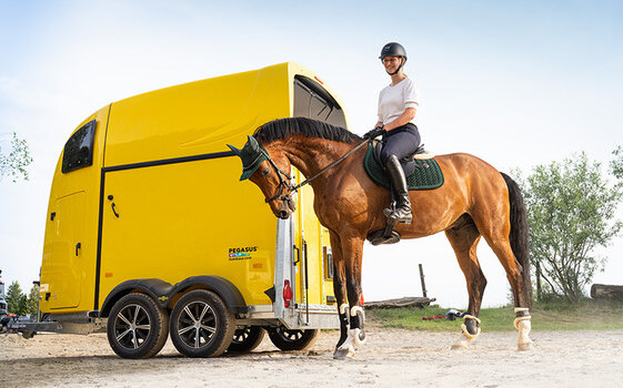Humbaur | Premium-Pferdeanhänger PEGASUS STYLE